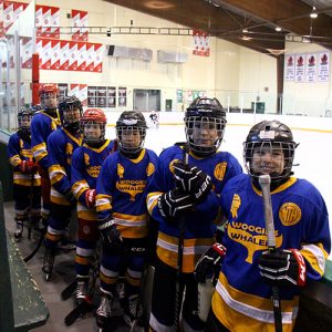 NTHOCKEY | House League