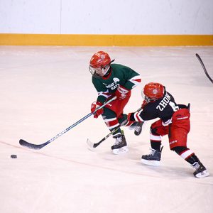 NTHOCKEY | House League